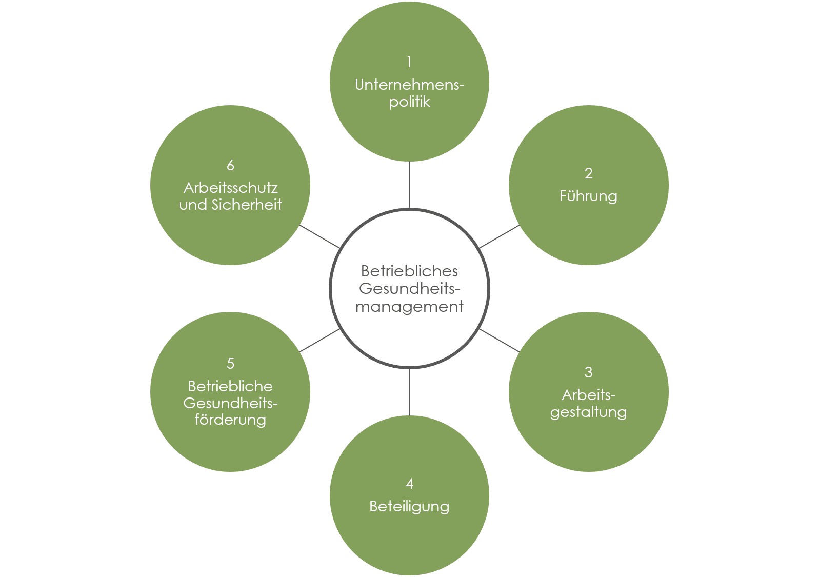Betriebliches Gesundheitsmanagement - BGM im Detail